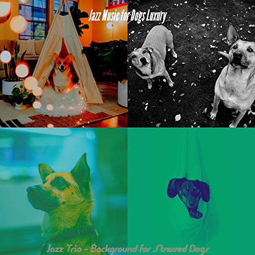 Amazon Music UnlimitedでJazz Music for Dogs LuxuryのJazz Trio ...