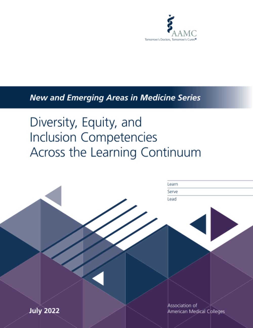 Diversity, Equity, and Inclusion Competencies Across the Learning ...