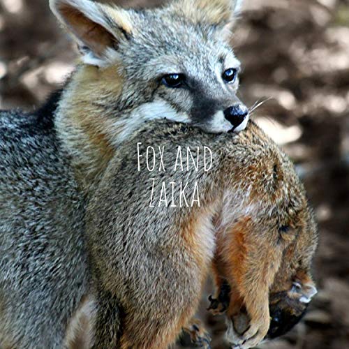 Food Fox – Die 15 besten Produkte im Vergleich - Die besten Angel Tipps ...