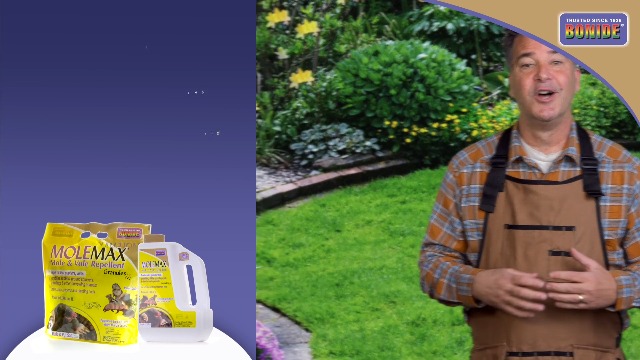 Watch Bonide MoleMax Granules on Amazon Live