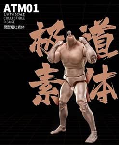 Amazon.com: MOLAOLAO ATM01 Normal Ver. 16 Scale Action Body Male Body ...