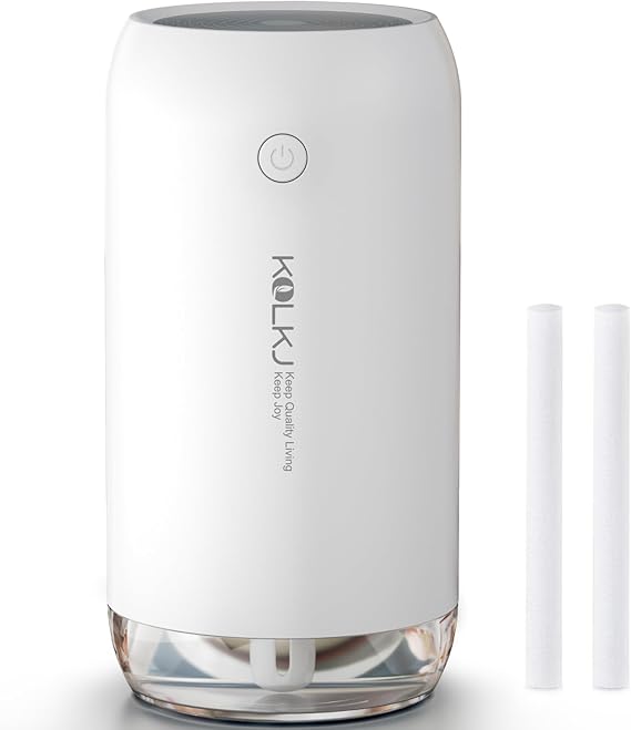 Amazon.com: Portable Mini Humidifier, KQLKJ 350ml Quiet Small Cool Mist ...