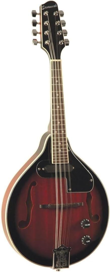 Savannah SA-115-E Madison Mandolin : Amazon.ca: Musical Instruments ...