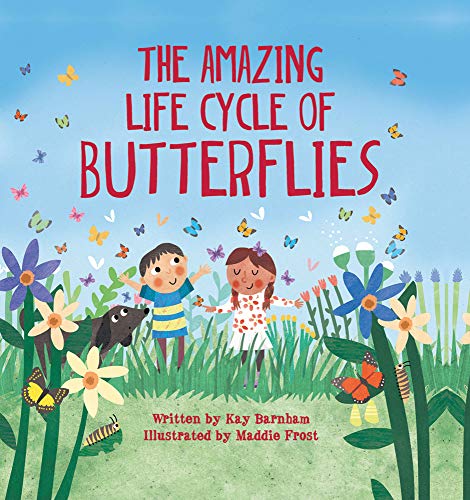 15 Nonfiction Books About Butterflies for Preschoolers
