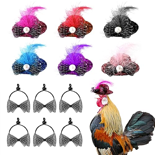10 Best Pet Chicken Costumes to Make Your Feathered Friend the Talk of ...