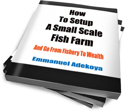 How To Setup A Small Scale Fish Farm and Go from Fishery to Wealth ...