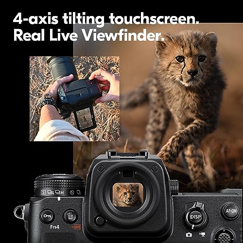 Best Cameras for Focus Stacking: Top 7 Picks (in 2024)