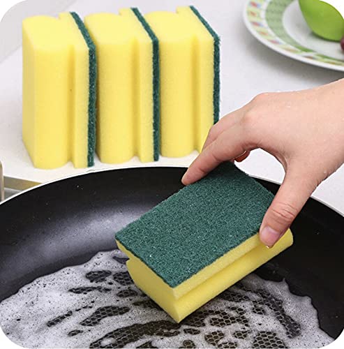 Everything you should know about the sponge