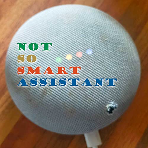 Not So Smart Assistant : Adam & Naomi: Amazon.in: Audible Books & Originals