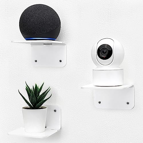 Amazon.com: Forzacx Small Wall Shelf Set of 3 - Damage Free Adhesive ...