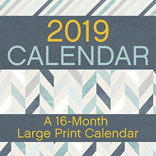Large Print 2019 Calendar : Trends International: Amazon.in: Books