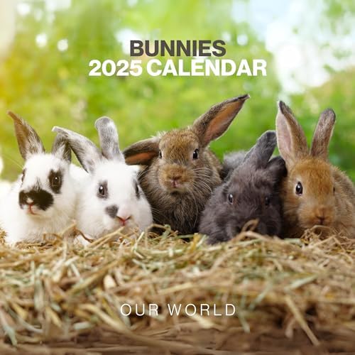 Amazon.com: Bunny Calendar 2025 - Large 12 Month 2025 Wall Calendar ...