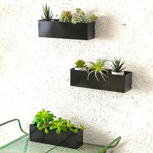 Amazon.com: LaLaGreen Wall Planter Indoor Plants (3 Pack, 14 Inch ...