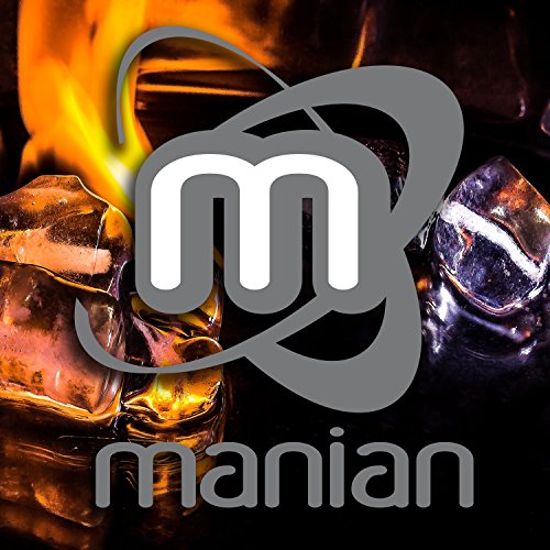 Amazon.com: Heat of the Moment : DJ Manian: Digital Music