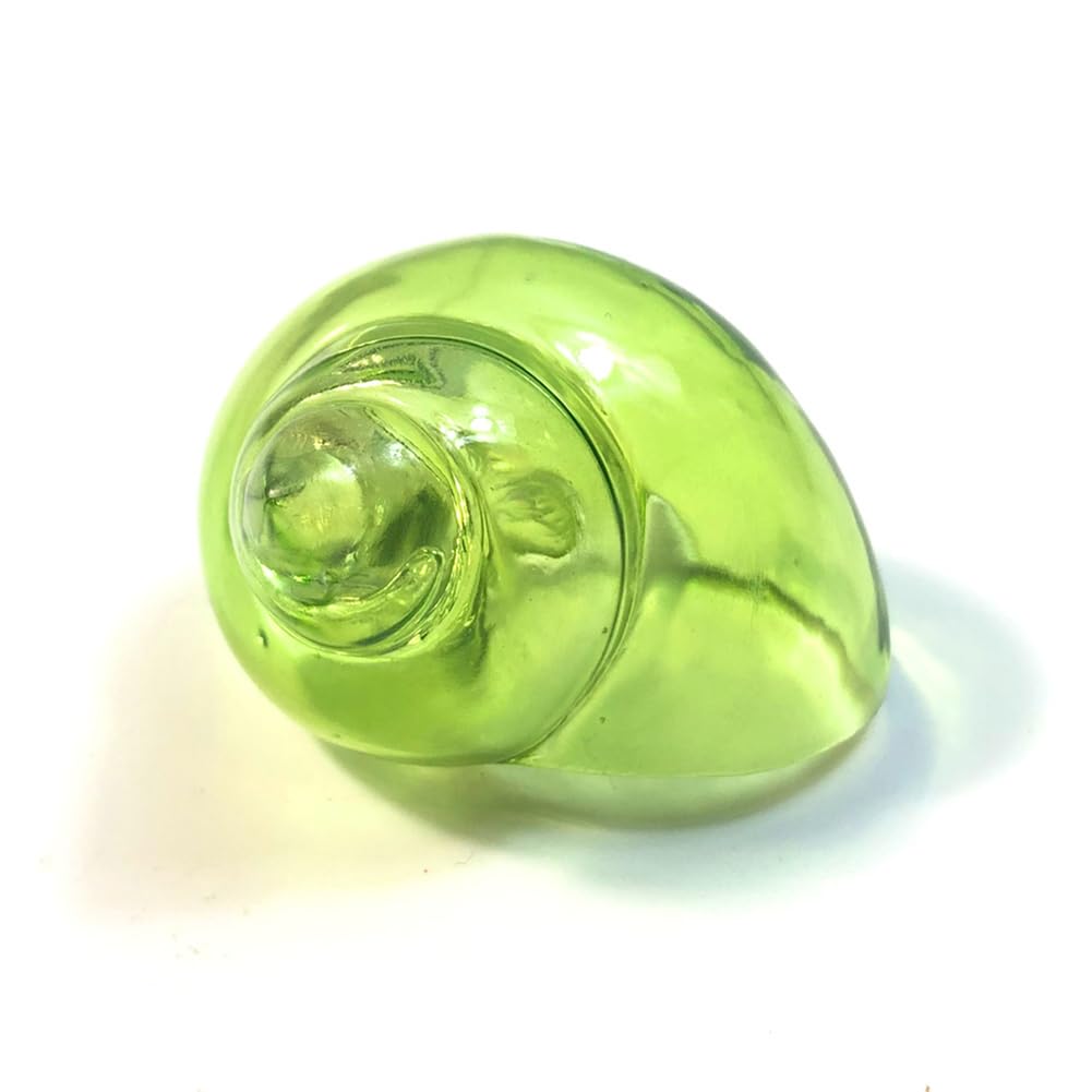 Hermit Crab Clear Shell