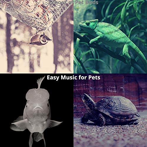 Echoes of Pet Birds by Easy Music for Pets on Prime Music