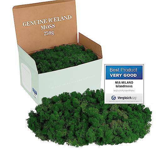 Musgo artificial Ikea: plantas y flores artificiales para decorar tu ...