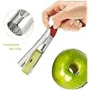 Amazon.com: Xubox Apple Corer, Good Grips Food Grade Stainless Steel ...