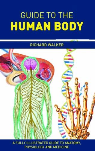 Guide to the Human Body: Richard Walker: 9780753714881: Amazon.com: Books