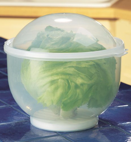 Best Lettuce Keeper : Recommended Storage Container For 2022
