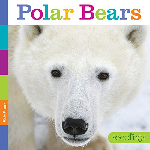 Seedlings: Polar Bears: Riggs, Kate: 9781628321159: Amazon.com: Books