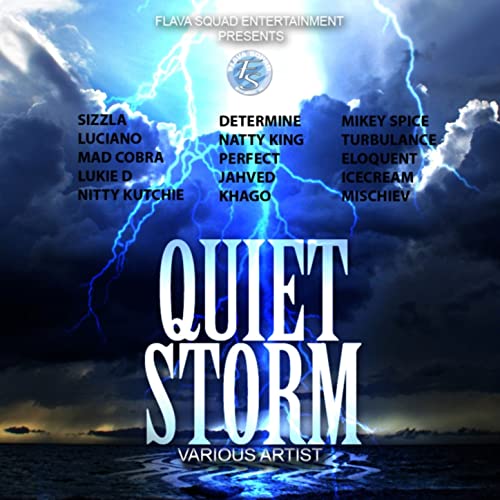 Amazon.com: Quiet Storm Riddim : VARIOUS ARTISTS: Digital Music
