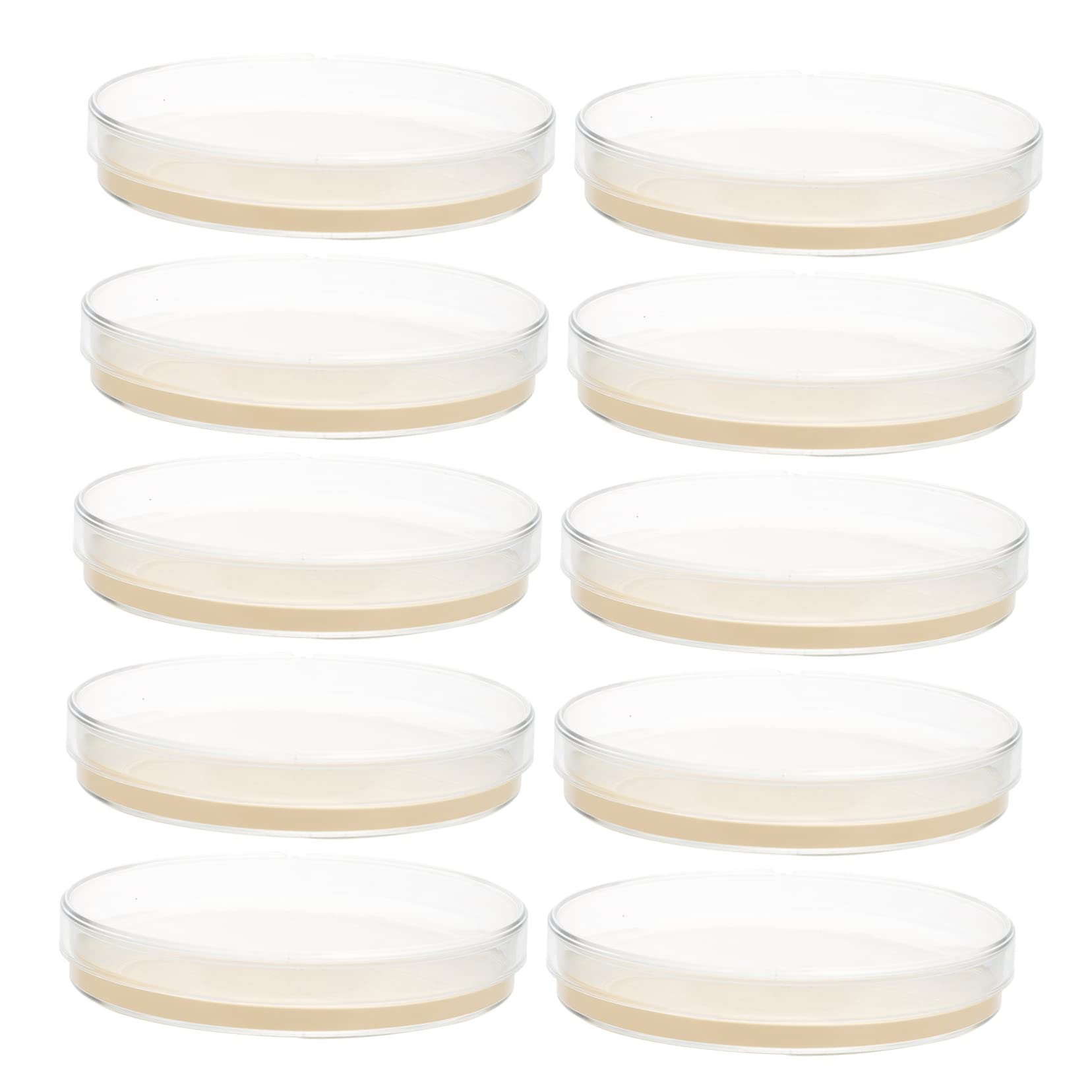 Buy Baluue 10pcs ent Agar Plate Tissue Culture Plate Transfer Pipettes ...