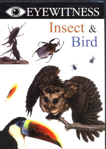 Amazon.com: Eyewitness - Insect & Bird : Movies & TV