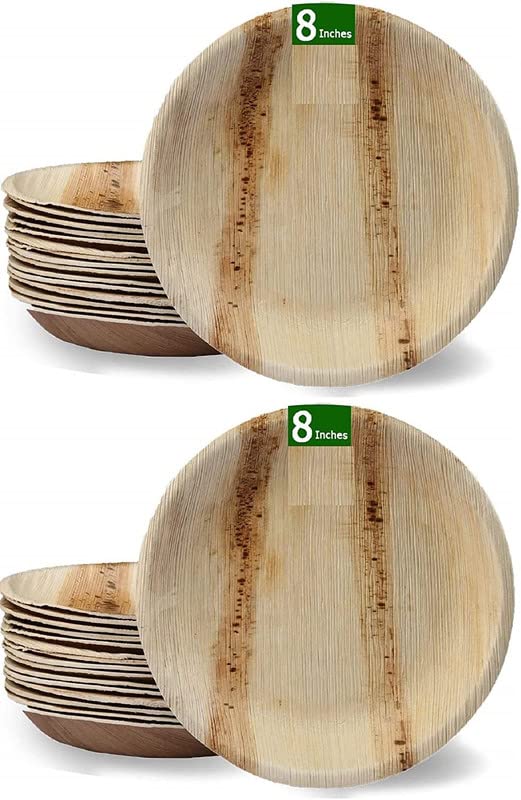 Buy ECO PURE - Making The Environment Healthier Disposable Round Plates ...