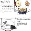 Amazon.com : Nature's Way BBFM1 Bluebird Buffet Metal Bird Feeder with ...