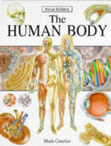 Buy Human Body (Explorer S.) Book Online at Low Prices in India | Human ...