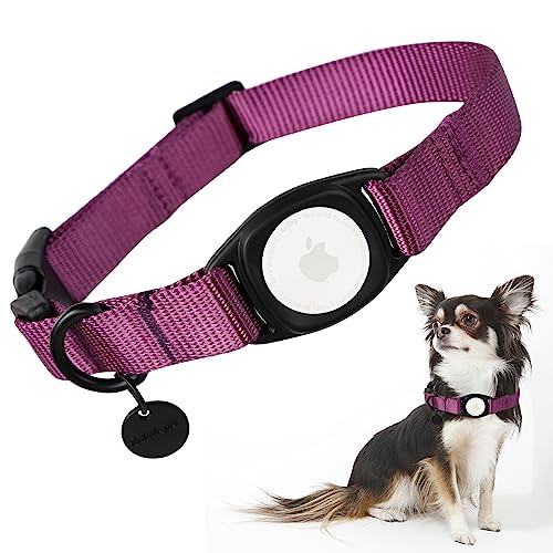 Top 10 Best Gps For Small Dogs : Reviews & Buying Guide - Katynel