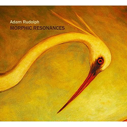 Amazon.com: Morphic Resonances : Adam Rudolph: Digital Music