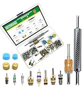 Amazon.com: BIHYNGAIR 102PCS Car Air Conditioner Valve Core Assortment ...
