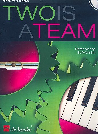Amazon.com: Two Is A Team: 9780035223384: ED WENNINK_NETTIE VE: Books