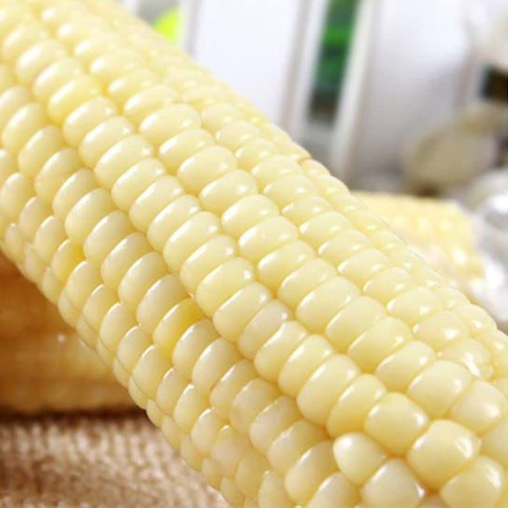 Buy Portal Cool 50 Sweet White Sticky Corn Seed Maize Fruit Vegetable ...