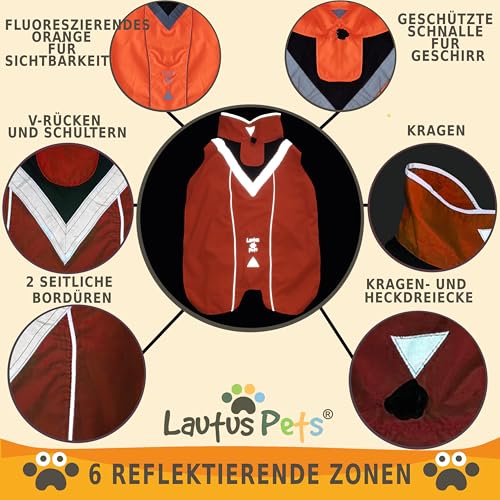 Regenschutz für Hunde – Die 16 besten Produkte im Vergleich ...