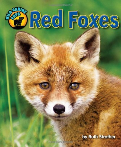 Red Foxes (Wild Canine Pups): Strother, Ruth: 9781617729270: Amazon.com ...