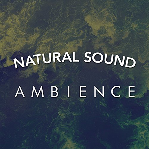 Amazon.com: Natural Sound Ambience : Natural Sounds: Digital Music