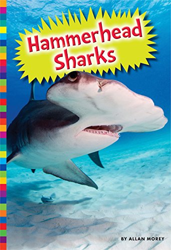 Amazon.com: Hammerhead Sharks: 9781681520919: Morey, Allan: Books