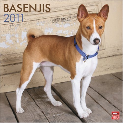 Basenjis 2011 Calendar: 9781421667645: Amazon.com: Books