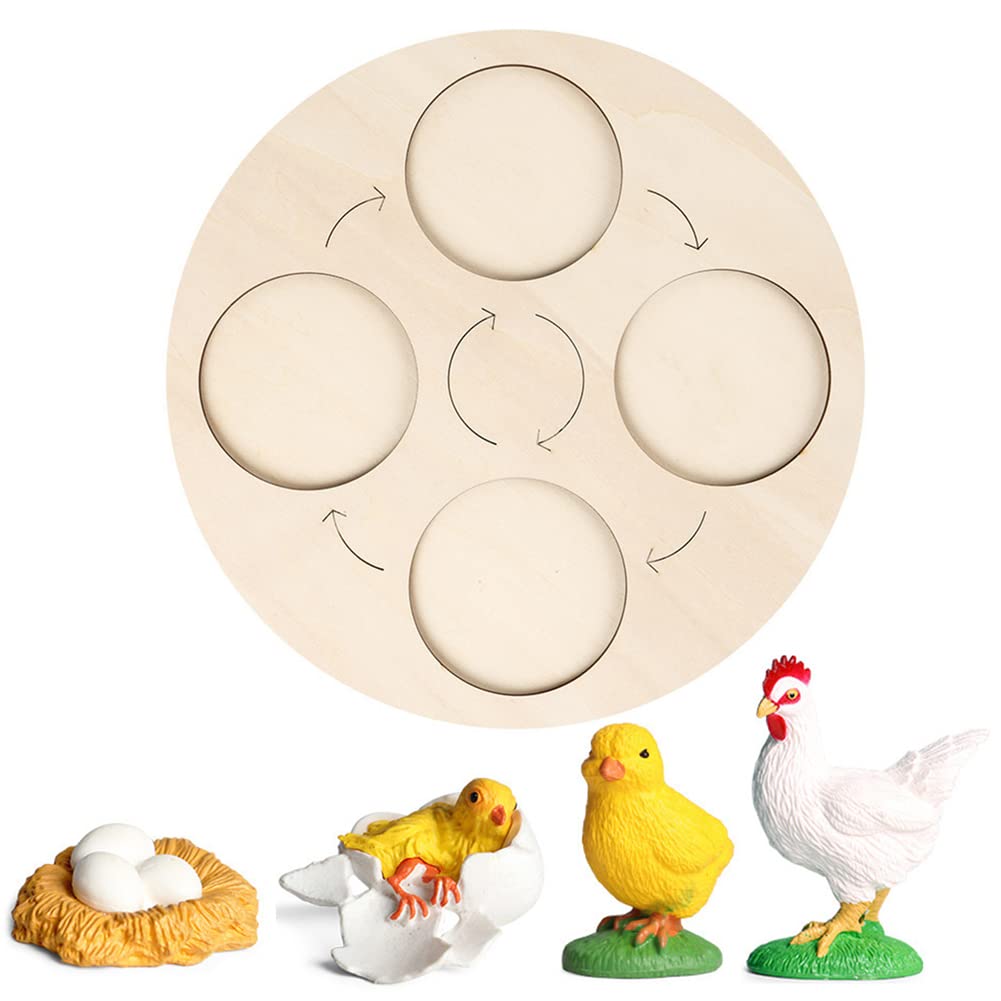Buy Chicken Growth Cycle,Chicken Life Cycle Figurines Kit with Wooden ...