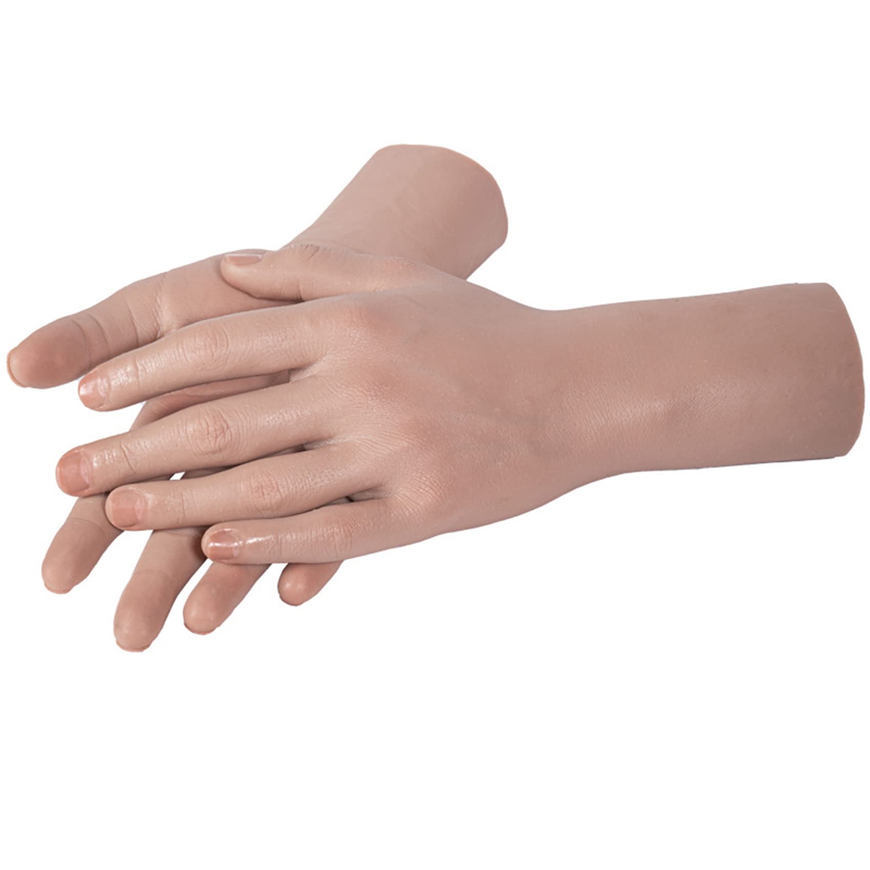 Male Hand Model