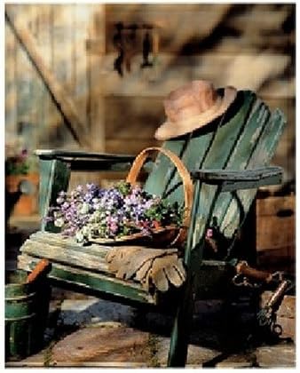 Amazon.com: Springbok Garden Chair 1000 Piece Jigsaw Puzzle : Toys & Games