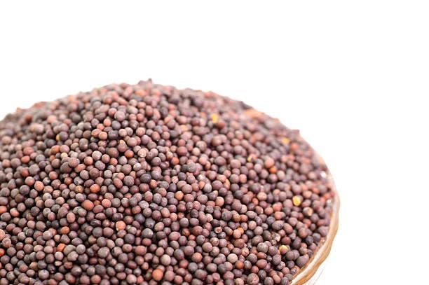 Farm Fresh Whole Small Mustered Seeds (Rai)-100 GM A043 : Amazon.in ...