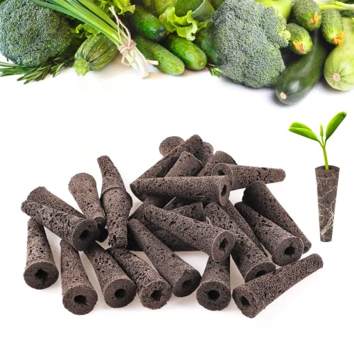 50 Plant Growth sponges for Aerogardens, Replacement Root Growth ...