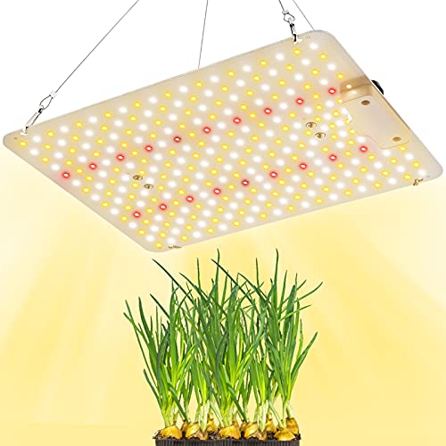 5+ Best 100 Watt Led Grow Light Reviews On 2021