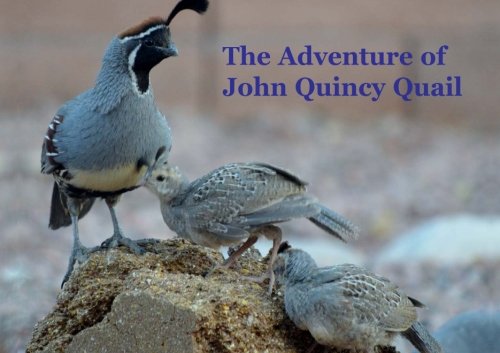 The Adventure of John Quincy Quail : Amazon.in: Books