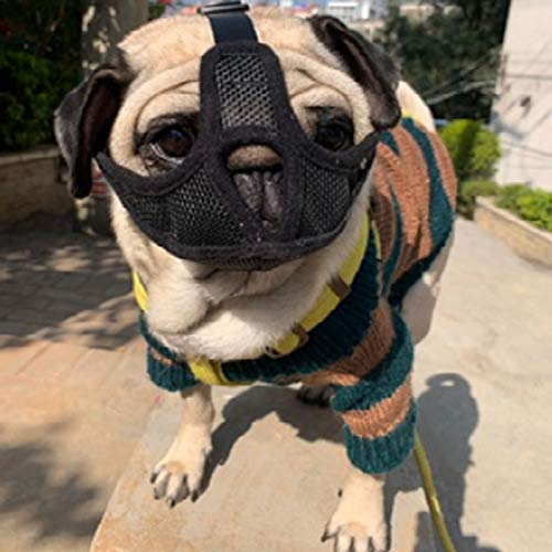 Maulkorb Mops – Die 15 besten Produkte im Vergleich - HundeINFOPortal