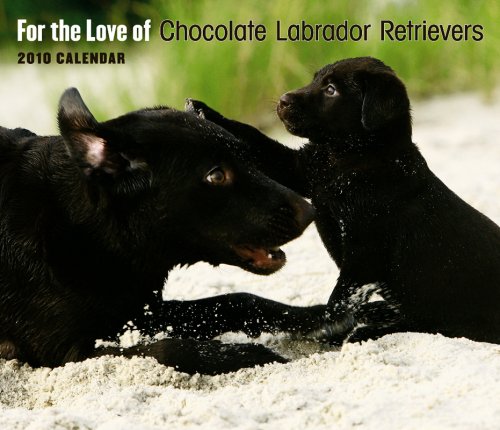 Labrador Retrievers, Chocolate For the Love of 2010 Deluxe Wall ...